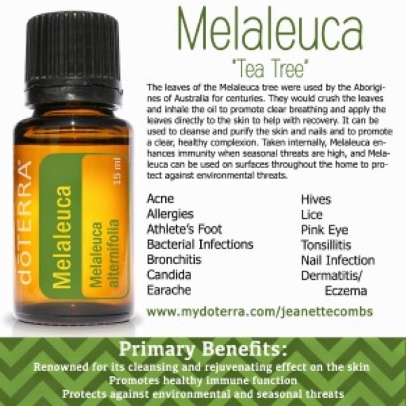 Melaleuca Doterra